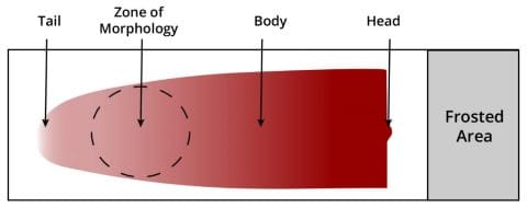 Preparation of Peripheral Blood Smears | My Hematology