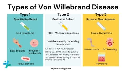 Von Willebrand Disorder or VWD: A Deficiency of VWF
