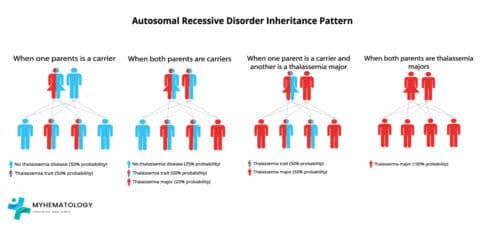 Alpha Thalassemia: Causes, Symptoms, Diagnosis & Treatment