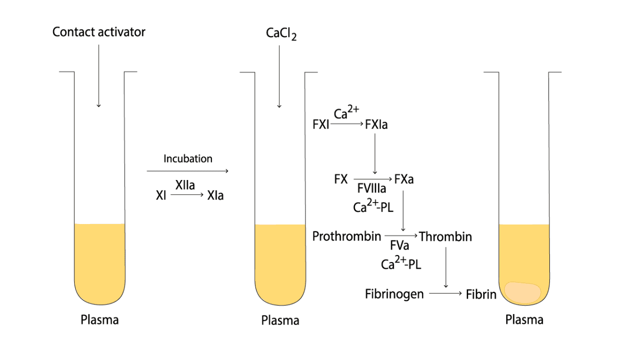 Activated Partial Thromboplastin Time (aPTT) Protocol