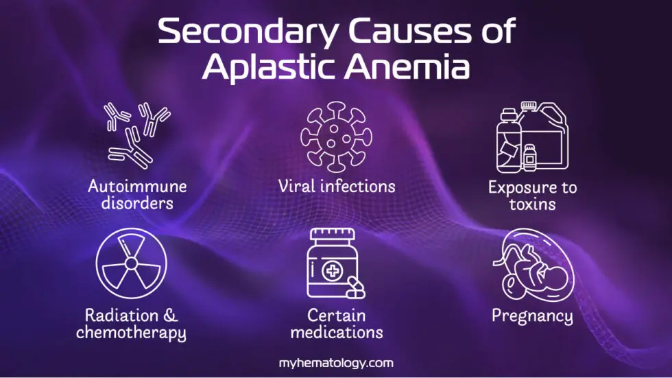 Aplastic Anemia (AA): Definition, Causes, Symptoms & Diagnosis