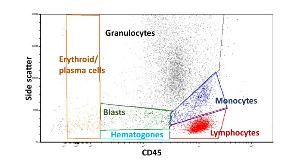 Hematopathology: A Diagnostic Detective | My Hematology