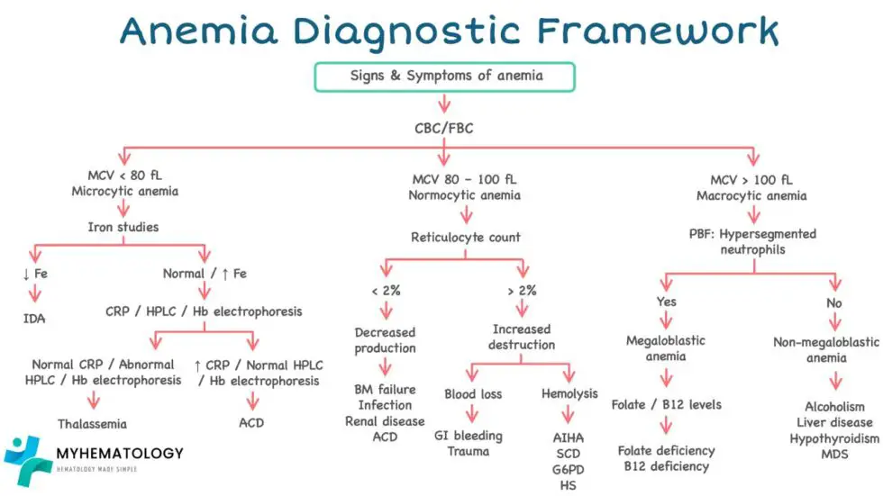 CBC with Differential and Other Haematological Reference Ranges