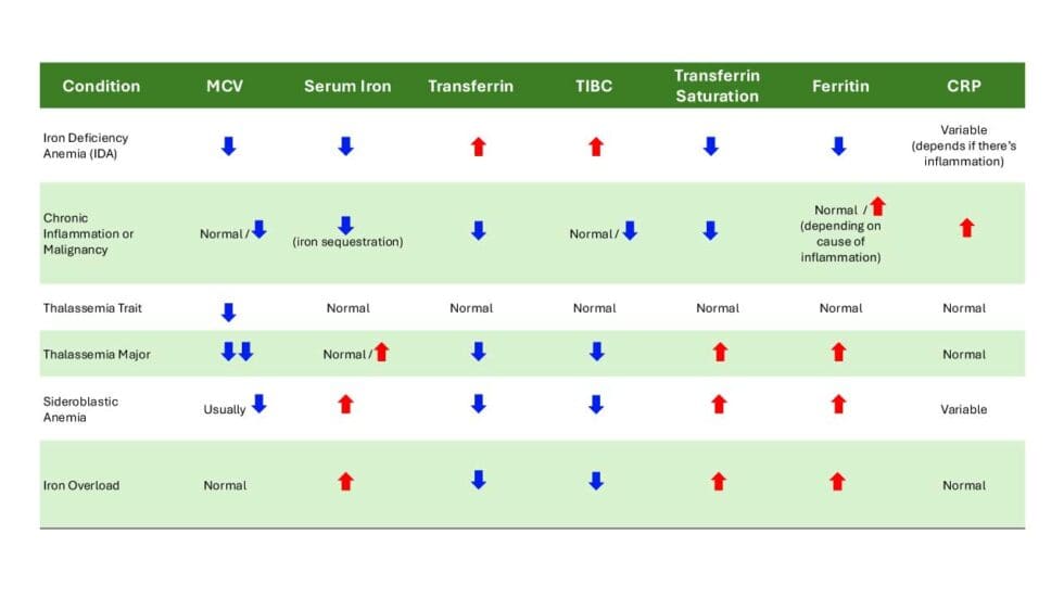 CBC with Differential and Other Haematological Reference Ranges