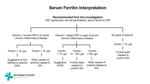 Iron Studies Interpretation: High and Low Parameters