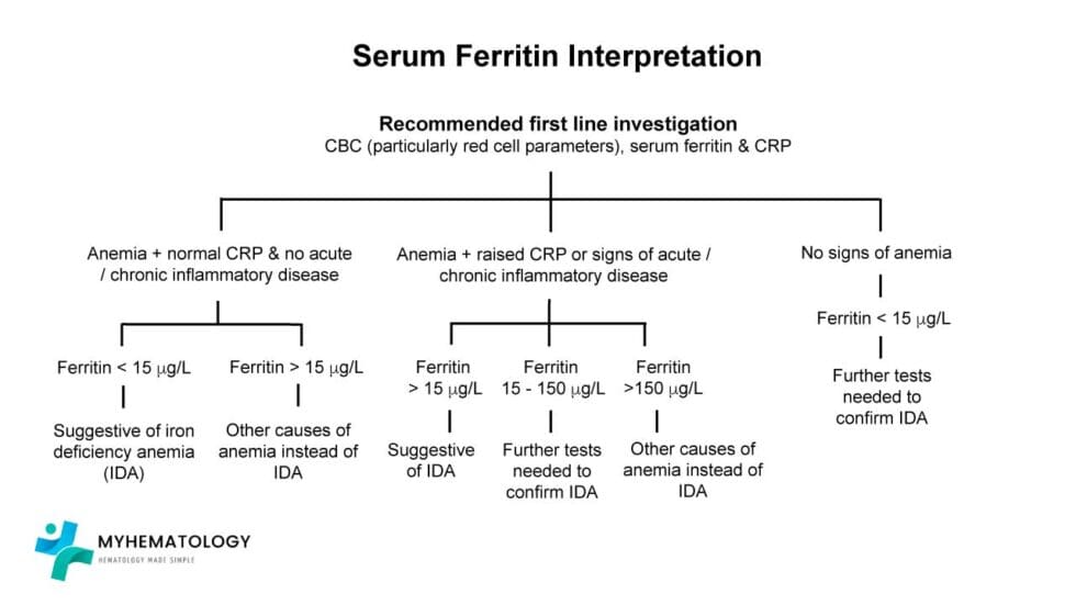 Iron Studies Interpretation: High and Low Parameters
