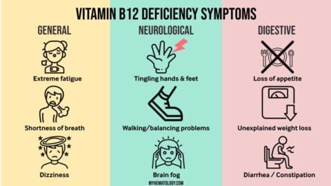 Anemia: Types, Causes, Symptoms, Treatment & Diagnosis