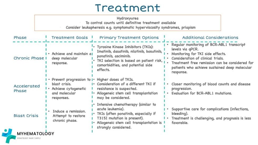 Chronic Myeloid Leukemia Treatment Strategies: An Overview