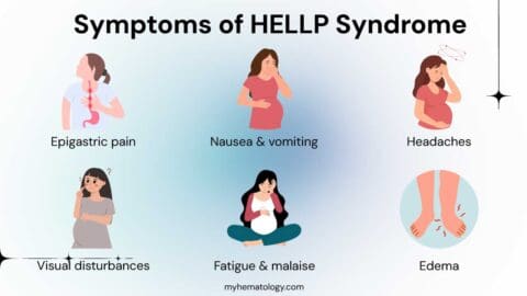 HELLP Syndrome: Pathophysiology, Symptoms & Treatment