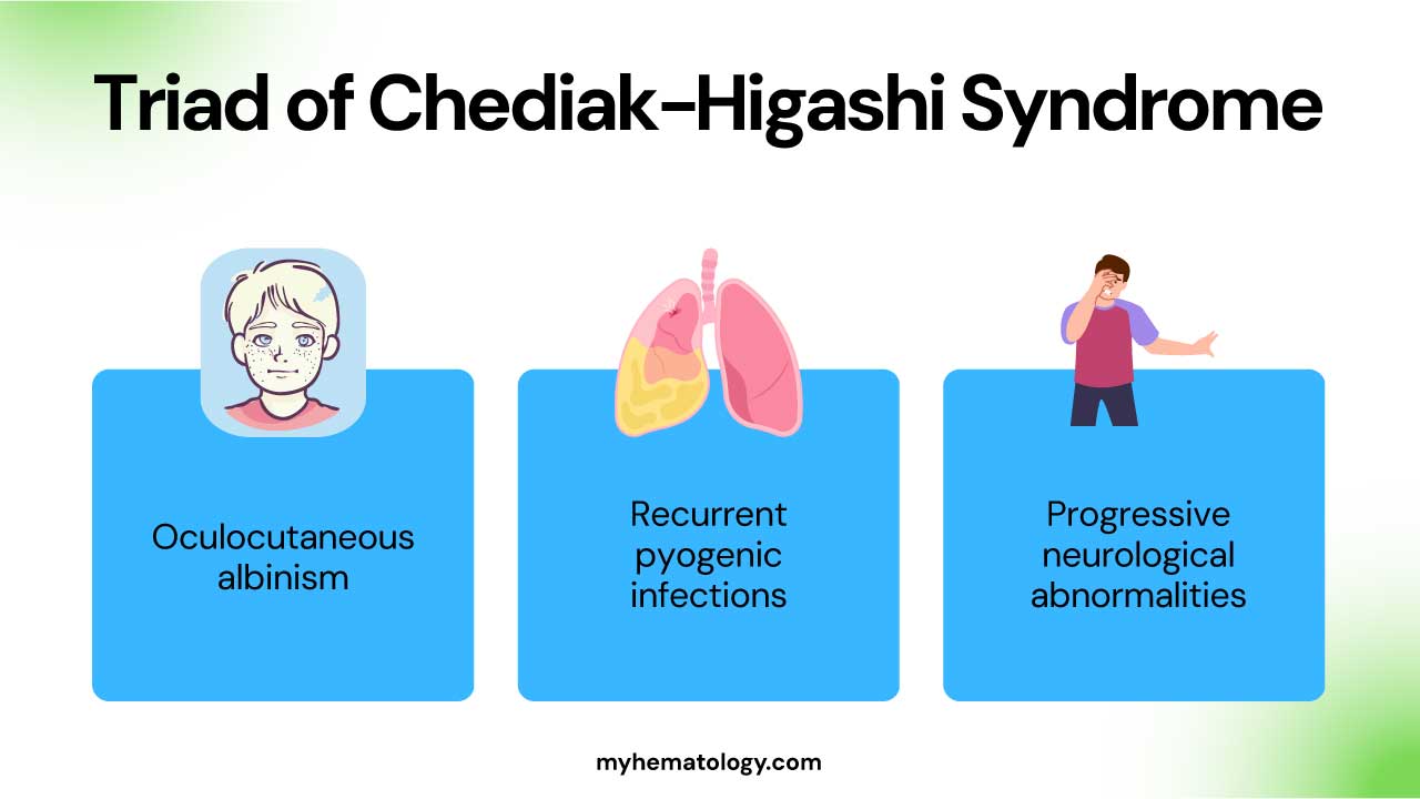 Chediak-Higashi Syndrome: Causes, Symptoms, Diagnosis & Treatment