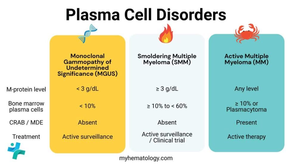 Plasma Cell: Development, Function, Disorders and Management